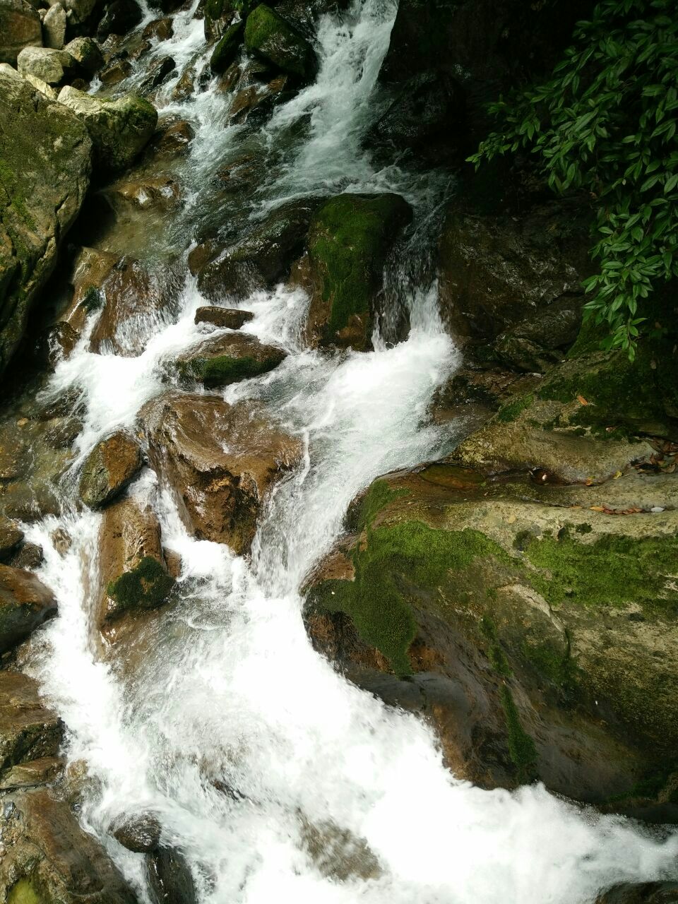 Shennong Stream – Travel Asia Guide