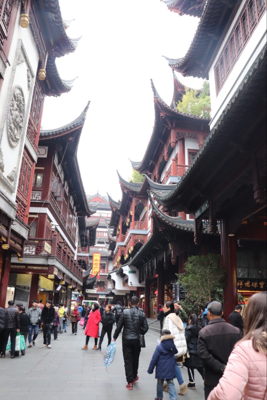 Shanghai Old Street – Travel Asia Guide